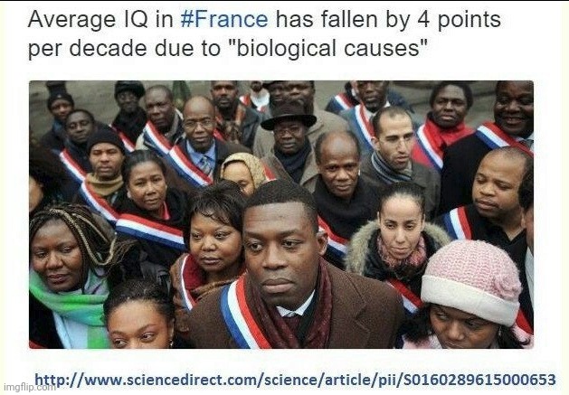 Average IQ in France has fallen - Imgflip