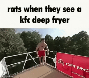 Rats when they see a kfc deep fryer - Imgflip