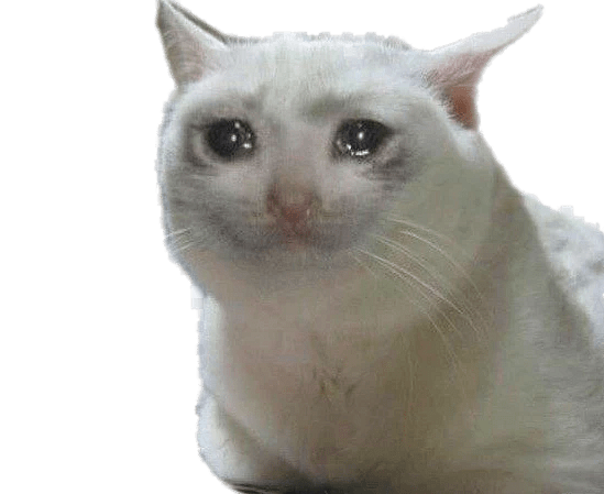 Crying Cat Memes Imgflip