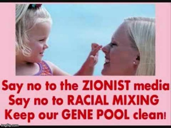Image tagged in say no to racial mixing - Imgflip