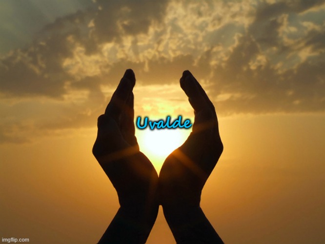 Does This Change Your View On Common-Sense Gun Reform That Does Not ...