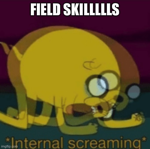 Jake The Dog Internal Screaming - Imgflip