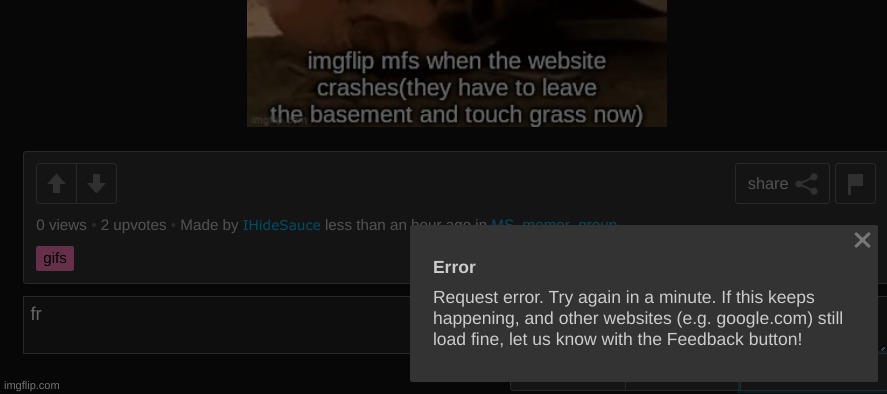 nice joke, imgflip (also imgflip crashed after I clicked the meme wtf ...