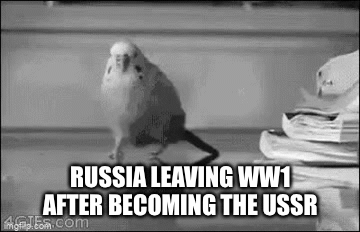 Parrot leaving explosion GIF - Imgflip