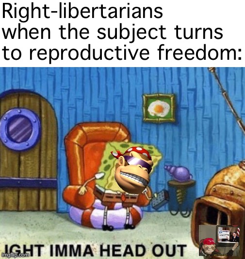 “Big Brother knows best — have that baby or perish in hellfire!” Right ...