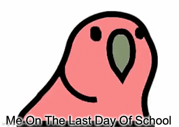 Birb is happy and so is me - Imgflip