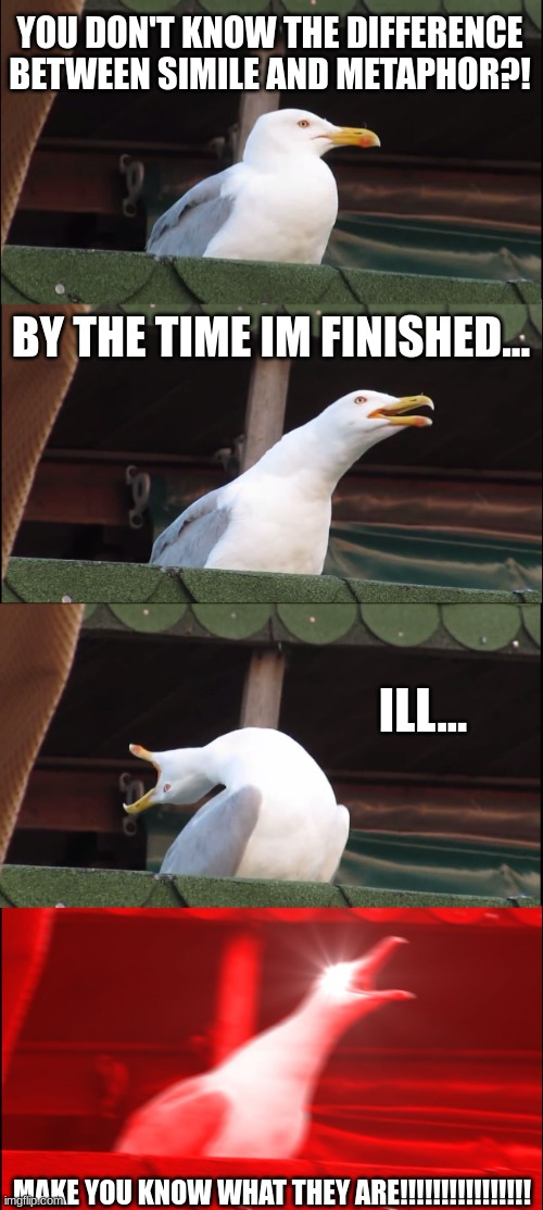 Inhaling Seagull Meme - Imgflip