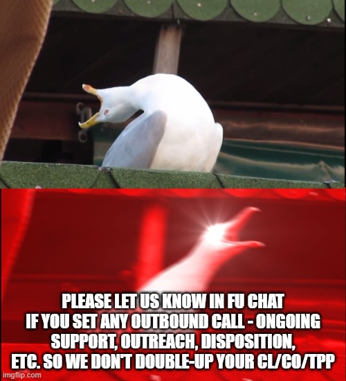 Screaming bird - Imgflip