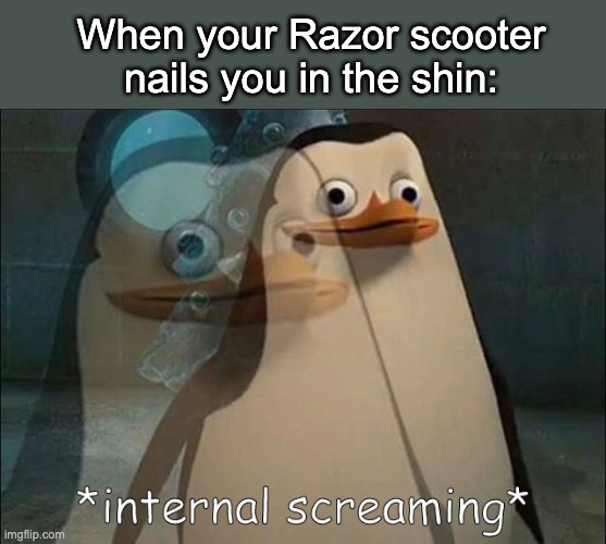 Private Internal Screaming - Imgflip