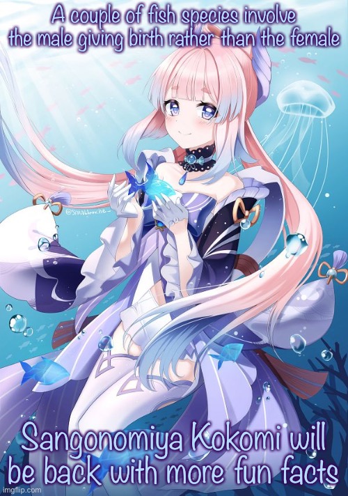 Sangonomiya Kokomi - Imgflip