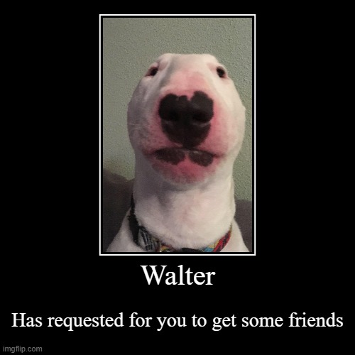Walter - Imgflip