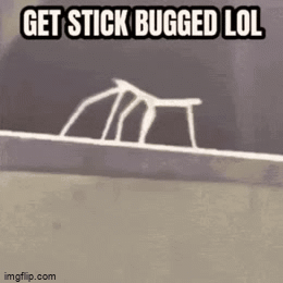 Stick bug - Imgflip