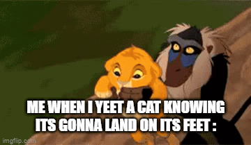 yeet da cat - Imgflip