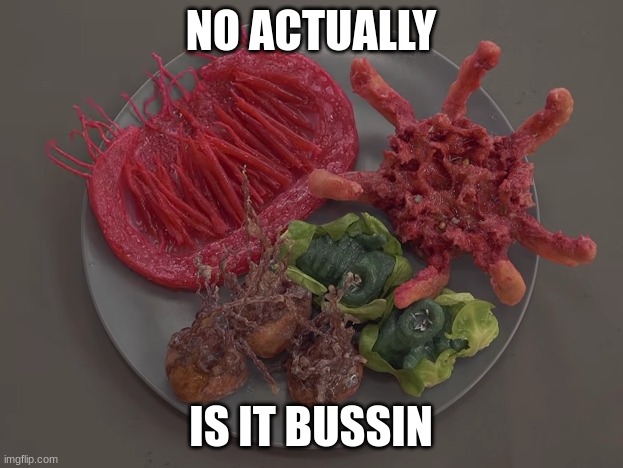 Roast Flesh Nut - Imgflip