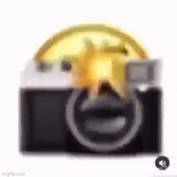 Animated GIF - Imgflip