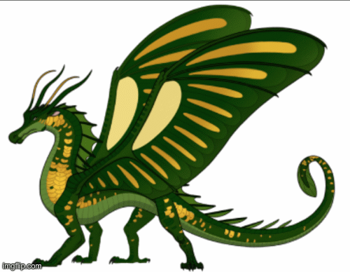 Wings of Fire Tribes - Imgflip