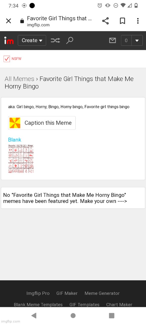 Favorite Girl Things that Make Me Horny Bingo - Imgflip