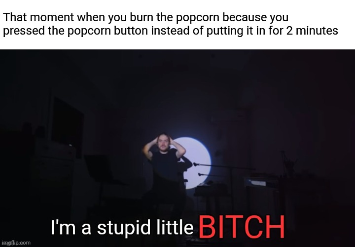 Oh wow, another Bo Burnham meme that'll only get 5 upvotes then die ...