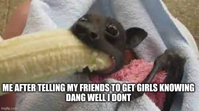 Too Many Times - Imgflip