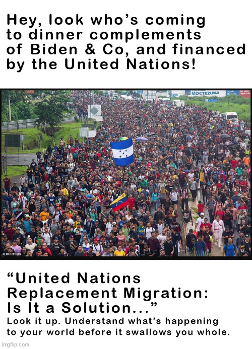 11,000 and counting. The UN's Migrant Replacement agenda is operational ...