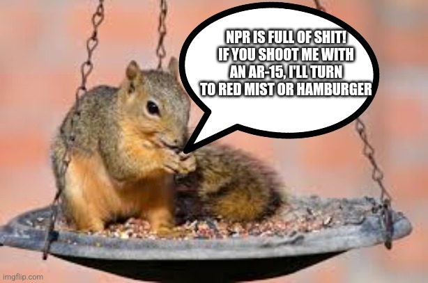 Image tagged in gun cobtrol idiocy - Imgflip