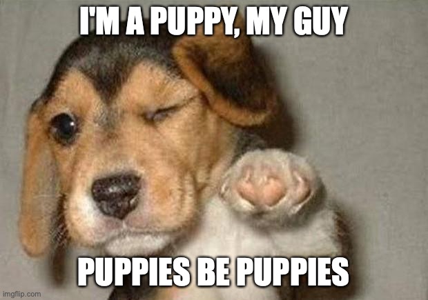 Winking Dog - Imgflip