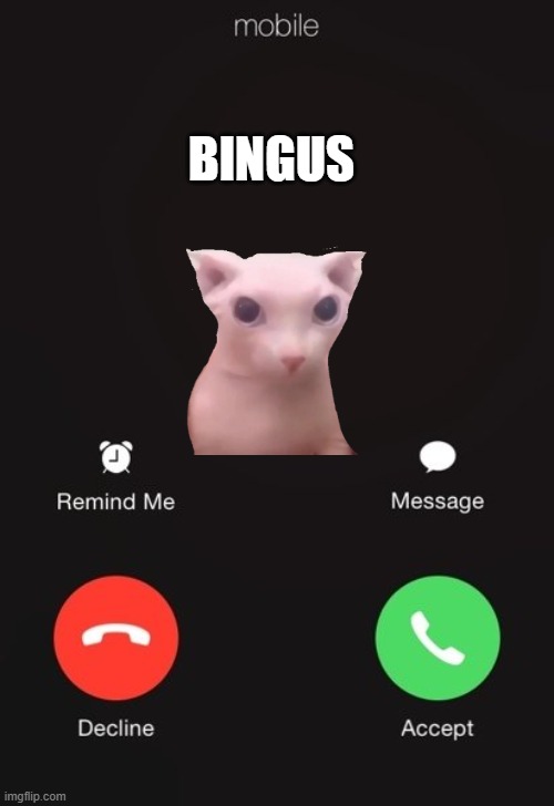 Incoming call - Imgflip