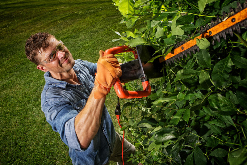 Man Trimming Bushes Memes Imgflip