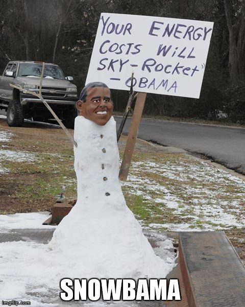 Which of these two Snowbama dudes is best , With Poll > General ...