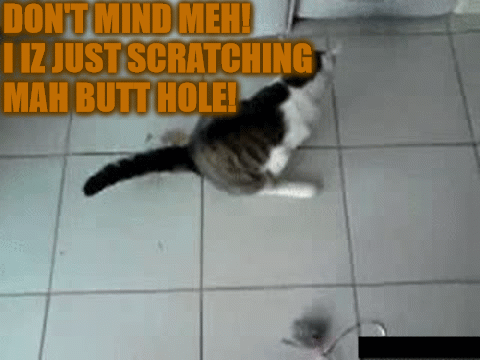 Butt Scratcher - Imgflip