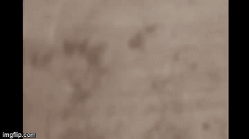 OH GOD IT FOUND ME - Imgflip