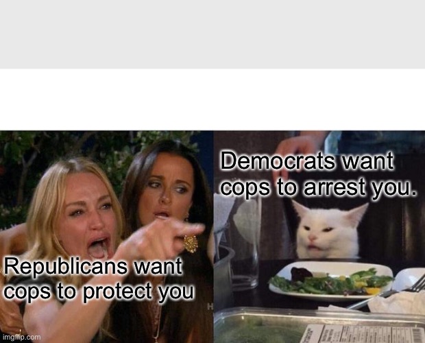 Woman Yelling At Cat Meme - Imgflip