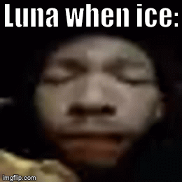 I love ice so much, I dunno why, maybe cuz it's cold - Imgflip