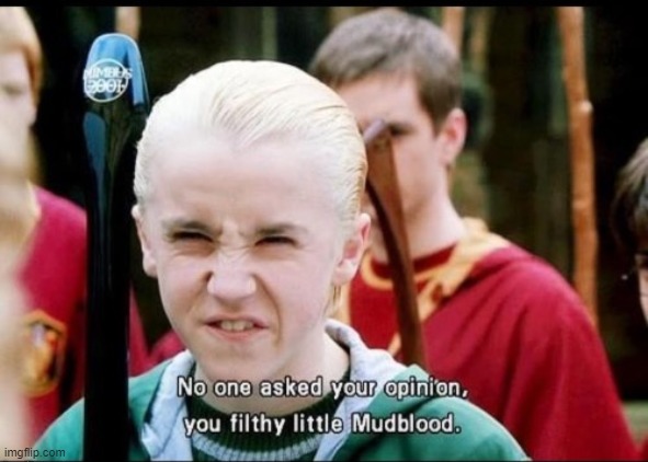 Image tagged in no one asked for your opinion you filthy little ...