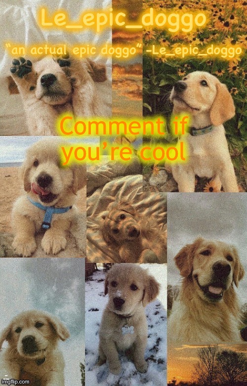 Doggo temp by doggo. Wait what that’s confusing - Imgflip