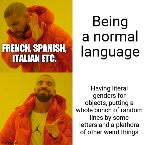 Im learning french. this is the sad truth lol - Imgflip