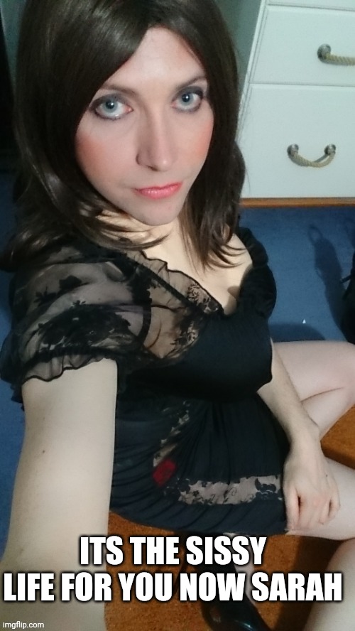 Exposed sissy - Imgflip