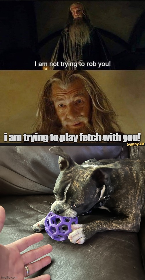 Image tagged in i am not trying to rob you - Imgflip