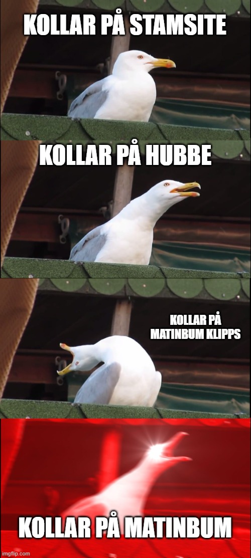 Inhaling Seagull Meme - Imgflip