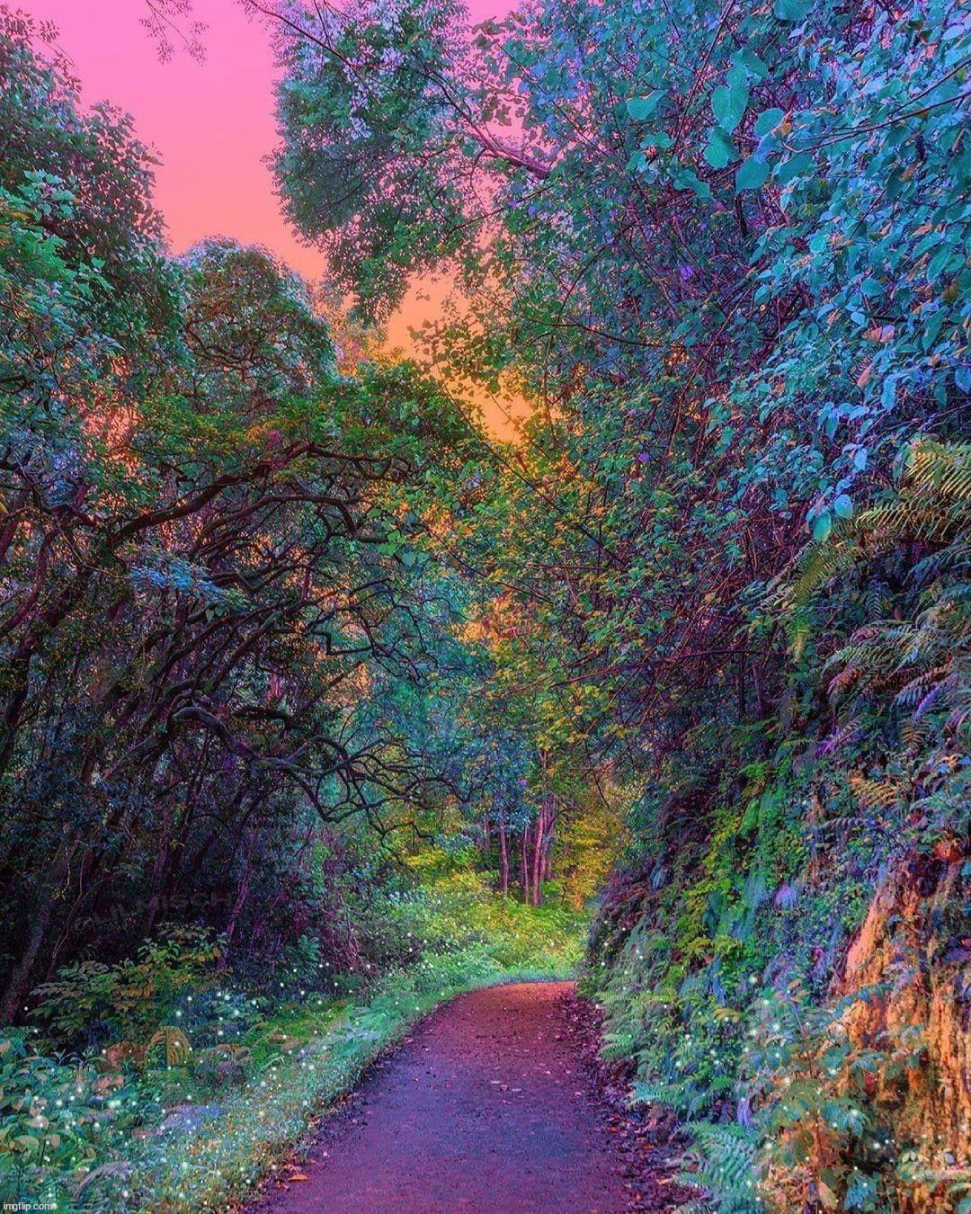 So colorful - Imgflip