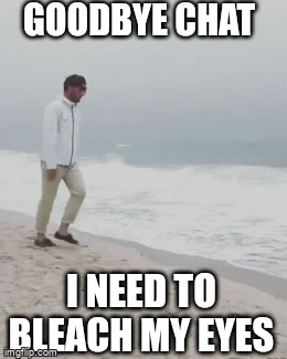 goodbye chat - Imgflip