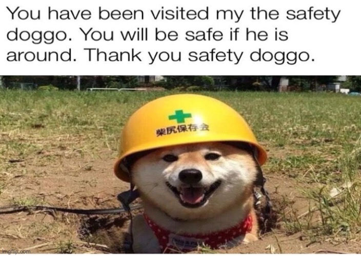 Image tagged in safety doggo,d o g,why are you reading this - Imgflip