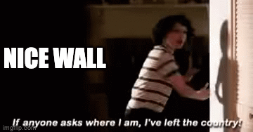 Leaving The Country - Imgflip