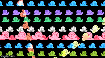 snail time!!!! - Imgflip