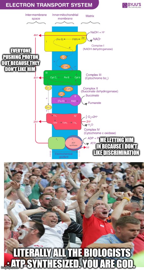 Image tagged in blank white template - Imgflip