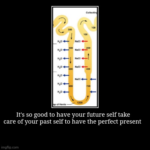 Image tagged in funny,demotivationals - Imgflip