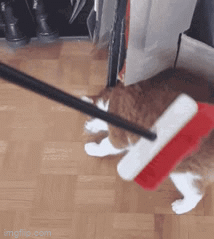 Sweeping cat massage - Imgflip