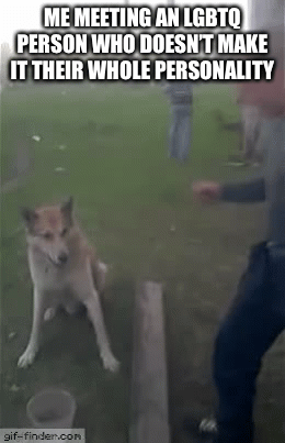 Dog hand shake - Imgflip