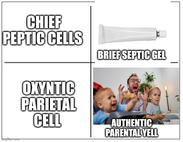 4 Square Grid - Imgflip