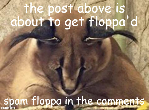 depressed floppa - Imgflip